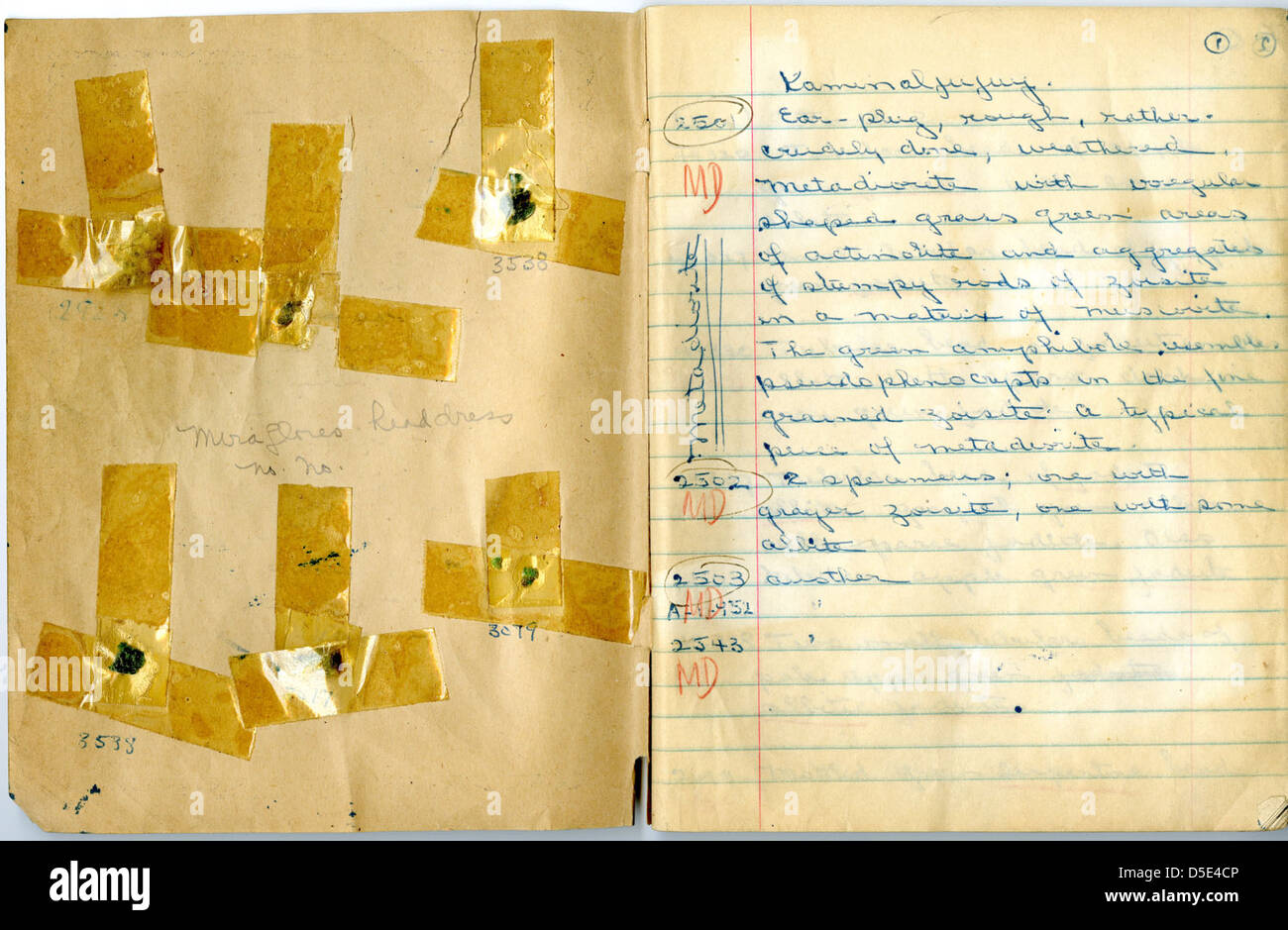The inside cover and first page of a field book by Foshag, detailing ...