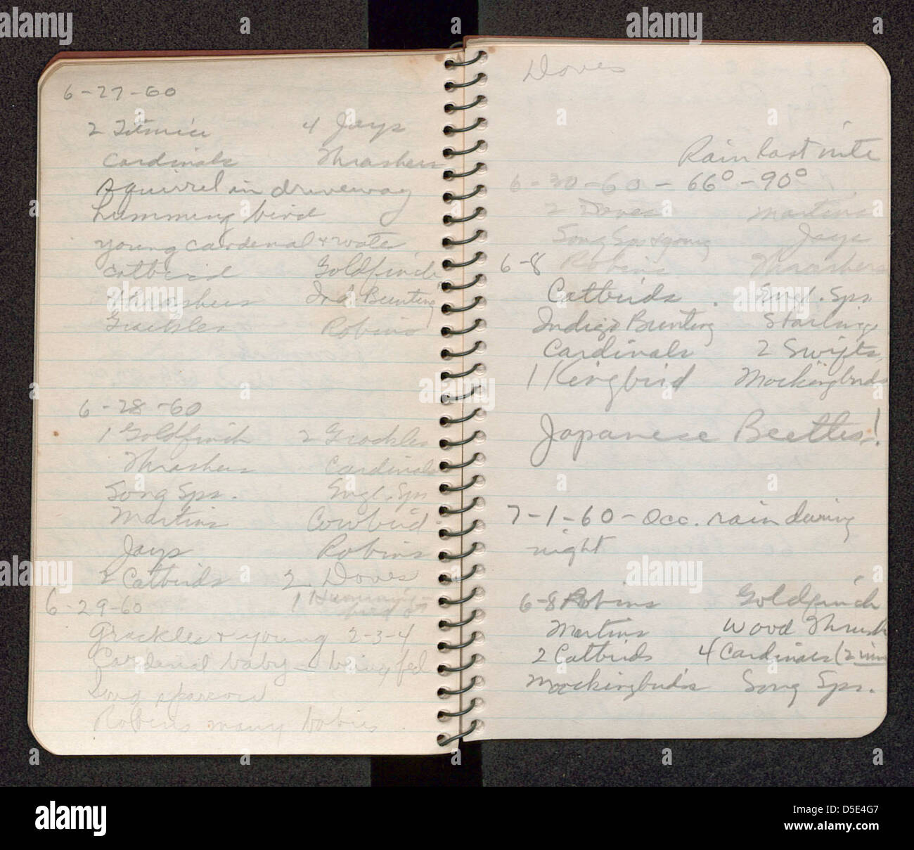 Field book hi-res stock photography and images - Alamy