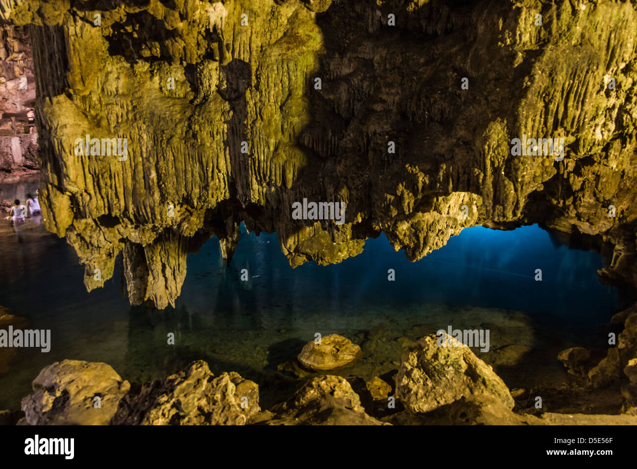 Cenote Dzitnup, on the Yucatan Peninsula near the city of Valladolid ...