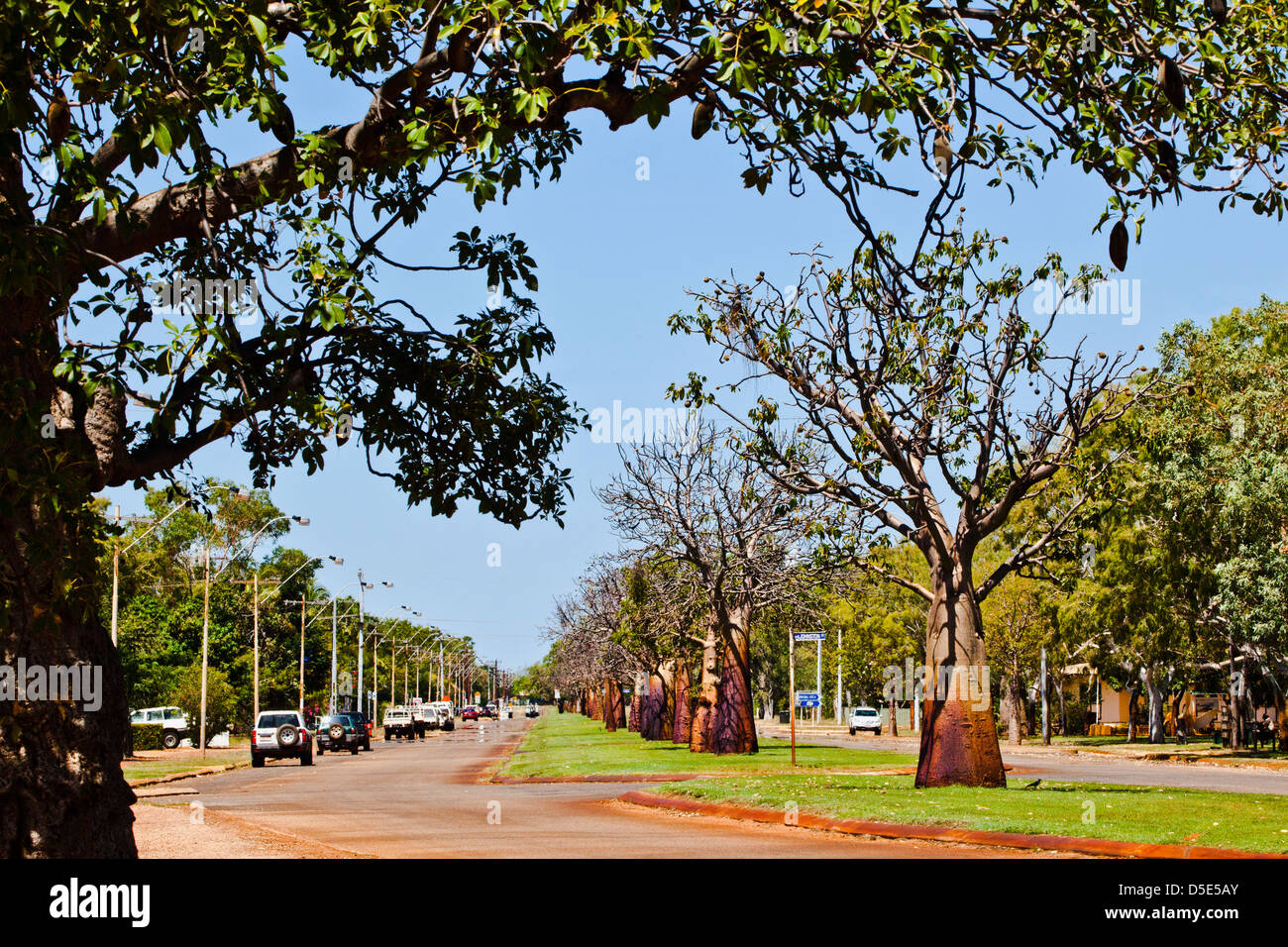 Australia, Western Australia, Derby, view of boab studded Loch Street ...