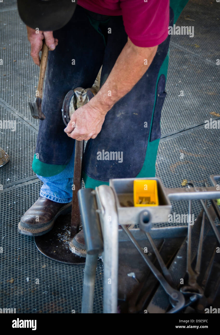 Horse shoe nails hi-res stock photography and images - Alamy