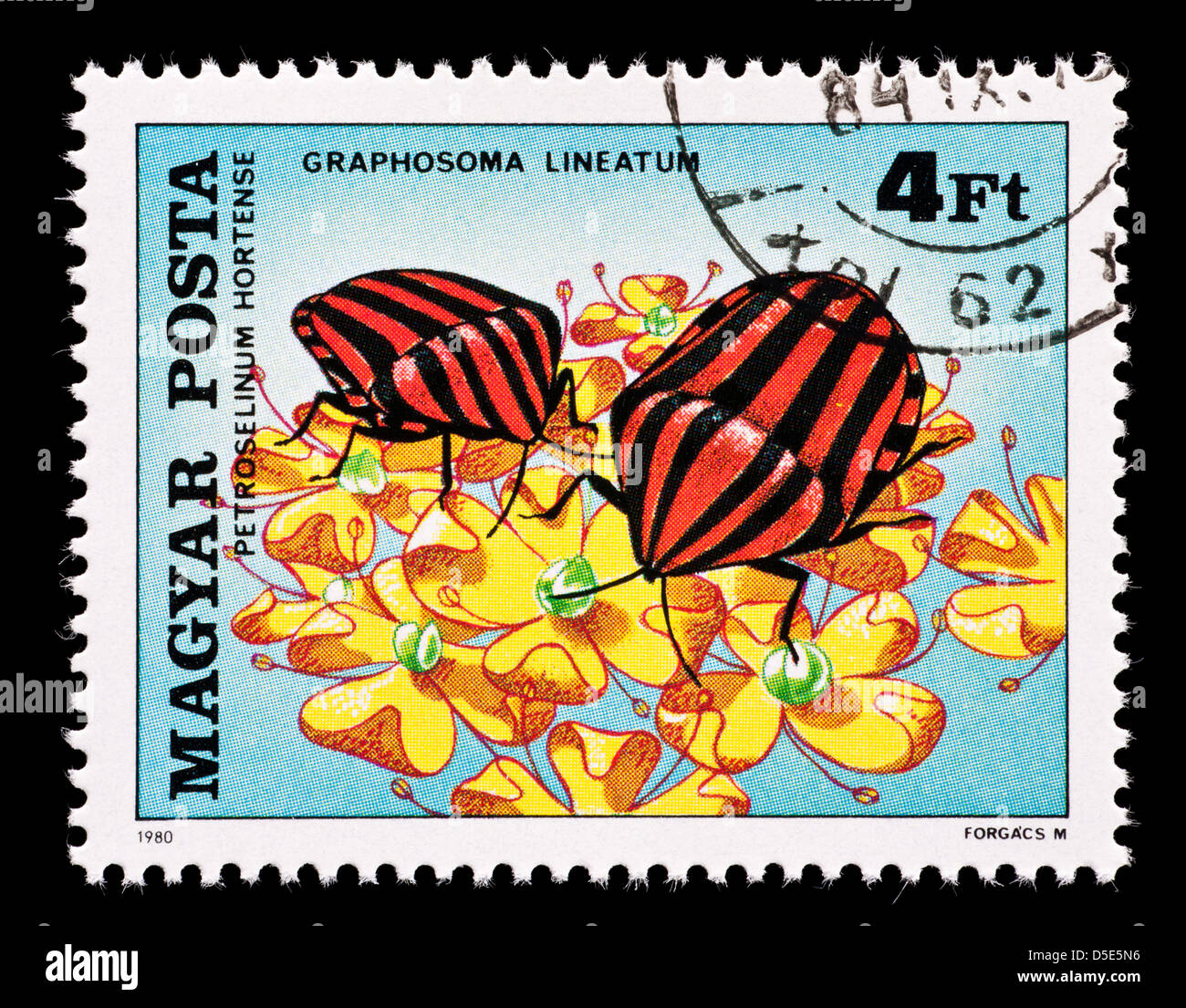 Postage stamp from Hungary depicting Italian Striped-Bug or Minstrel ...