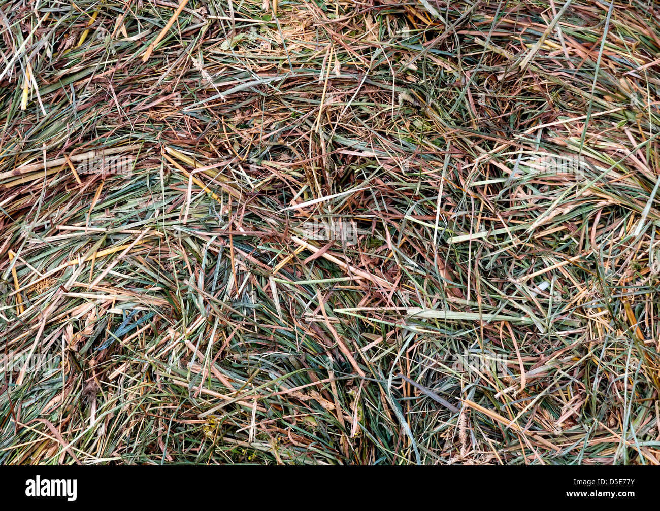Straw texture background. Abstract background made from dry grass Stock ...