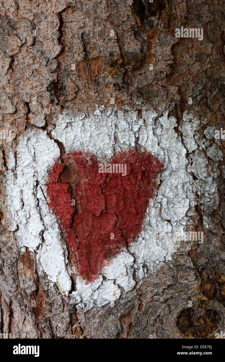 A symbol on the tree hi-res stock photography and images - Alamy