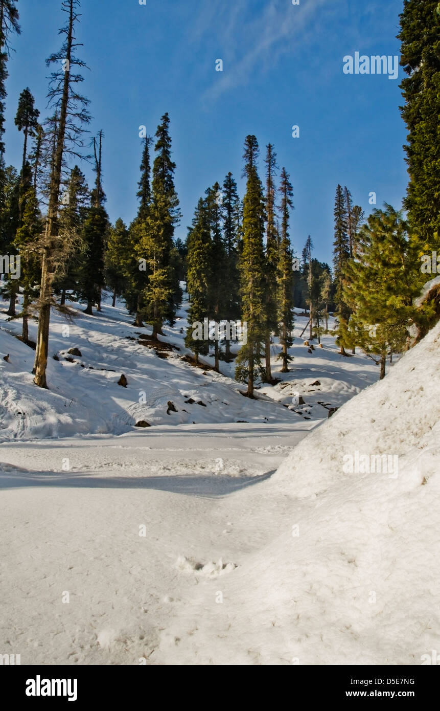 Gulmarg valley hi-res stock photography and images - Alamy