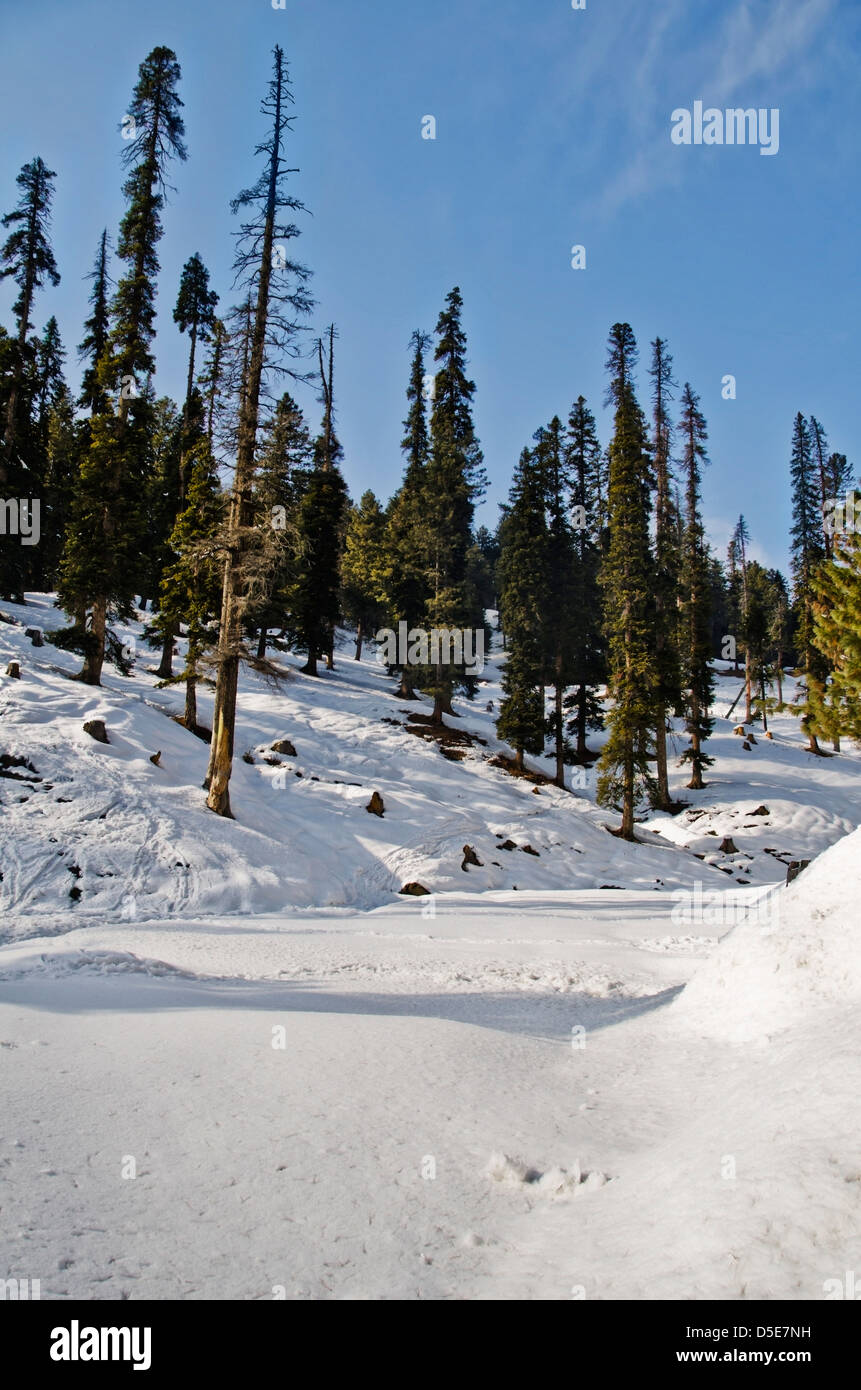 Gulmarg valley hi-res stock photography and images - Alamy