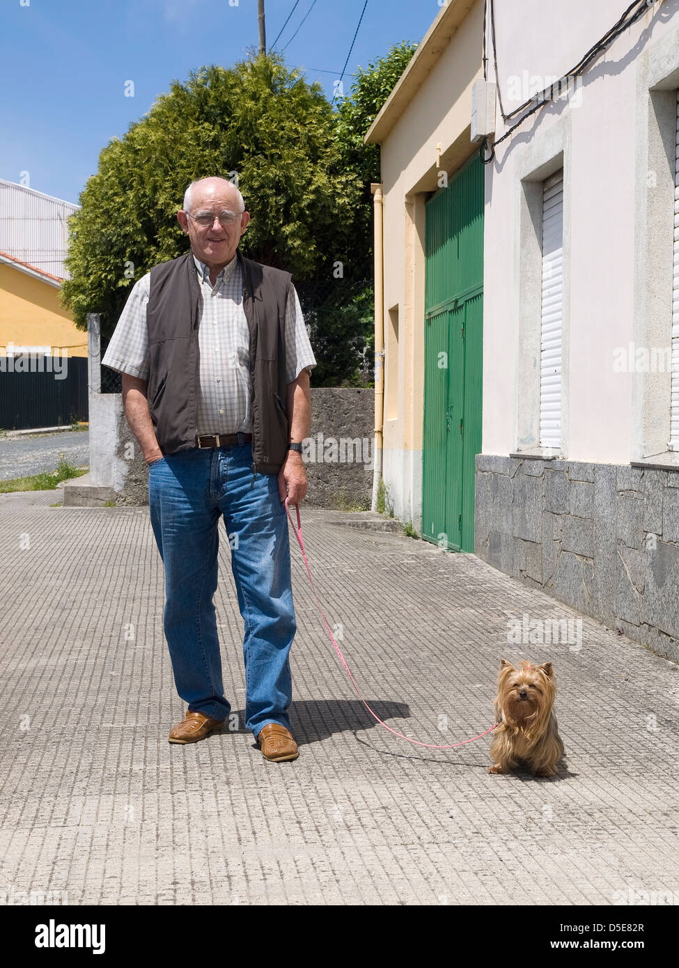 Elderly man walking a dog hi-res stock photography and images - Alamy