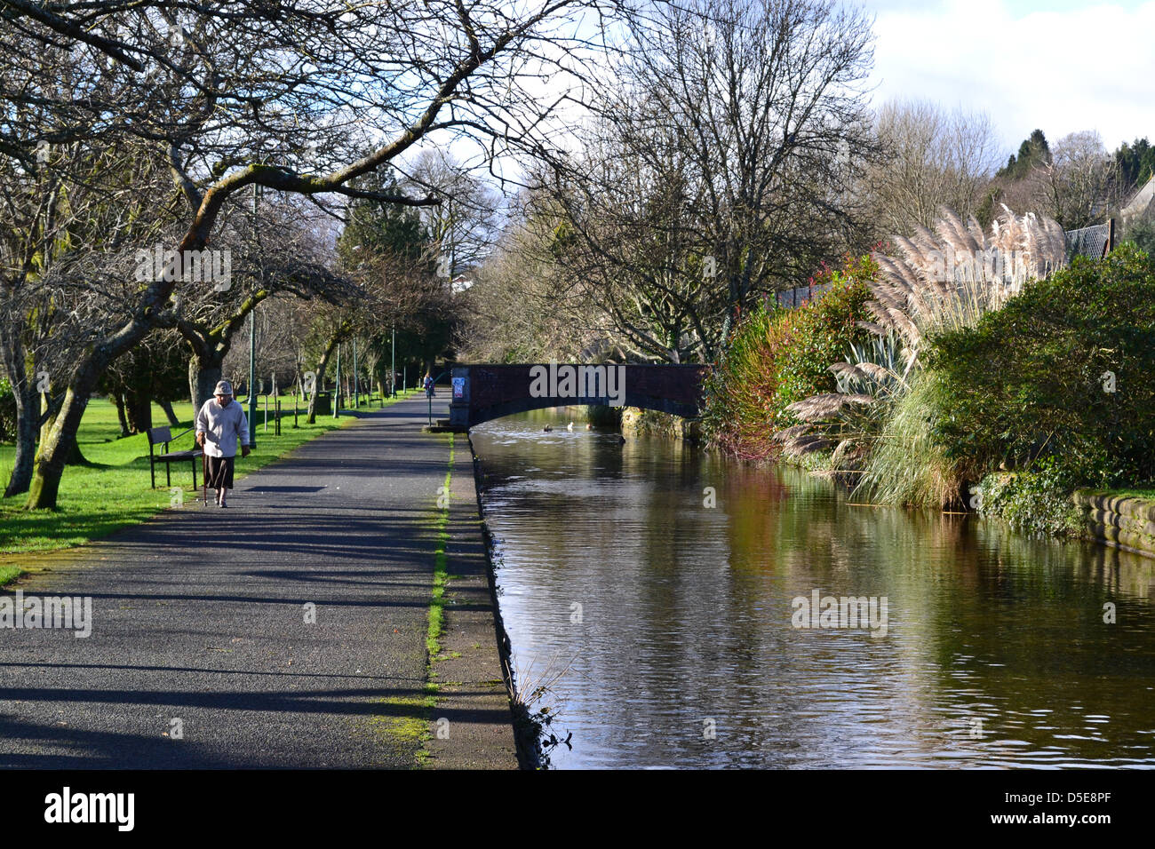 Tavistock Canal, Tavistock, Devon Stock Photo - Alamy