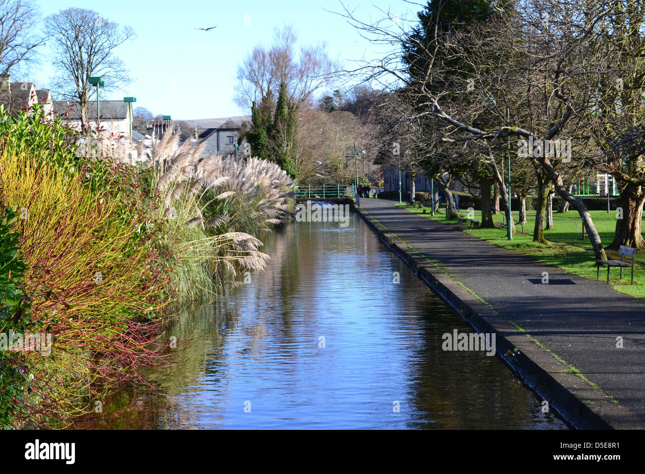 Devon flora and fauna hi-res stock photography and images - Alamy