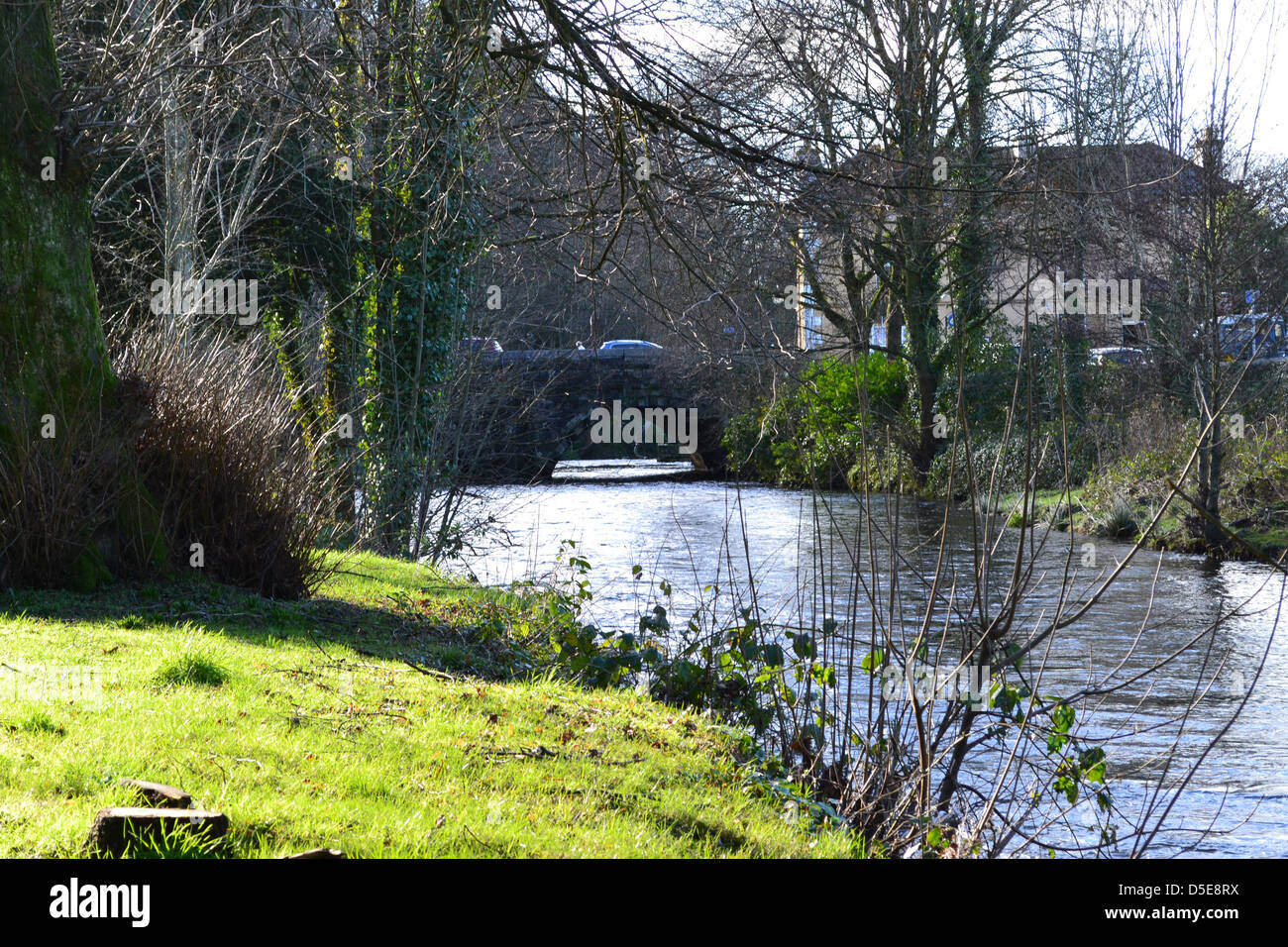 The River Tavy in Tavistock Devon Stock Photo - Alamy