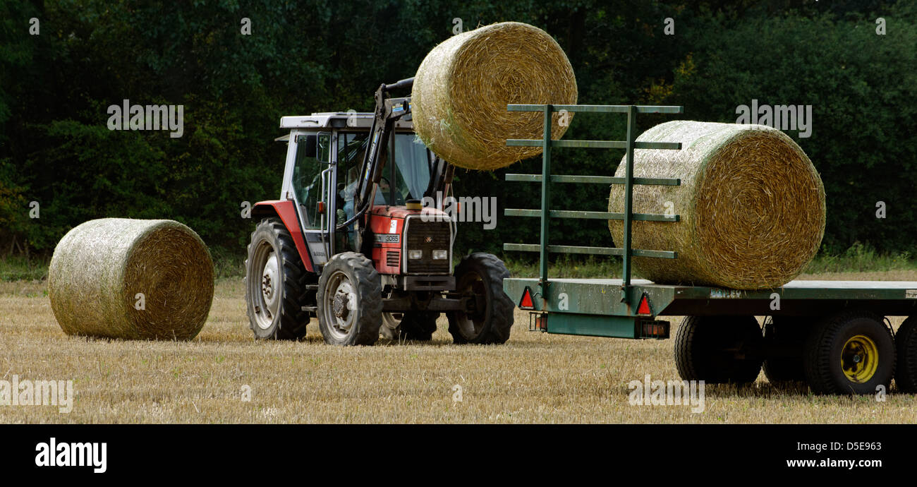 Farmer loading bales of straw on to trailer, UK Stock Photo - Alamy