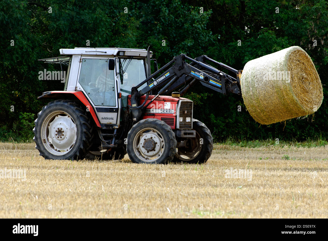 Farmer Lifting Bale Straw Tractor High Resolution Stock Photography and ...
