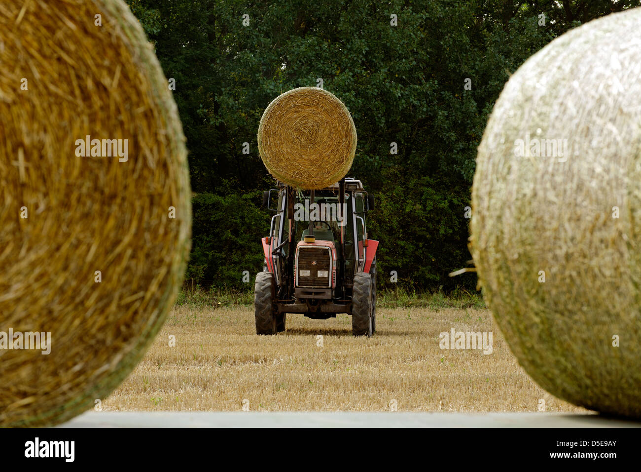 Farmer lifting a bale of straw with tractor, UK Stock Photo - Alamy
