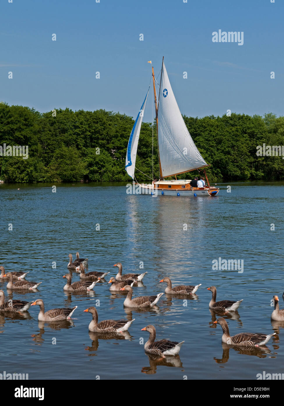 Salhouse Broad Norfolk High Resolution Stock Photography and Images - Alamy