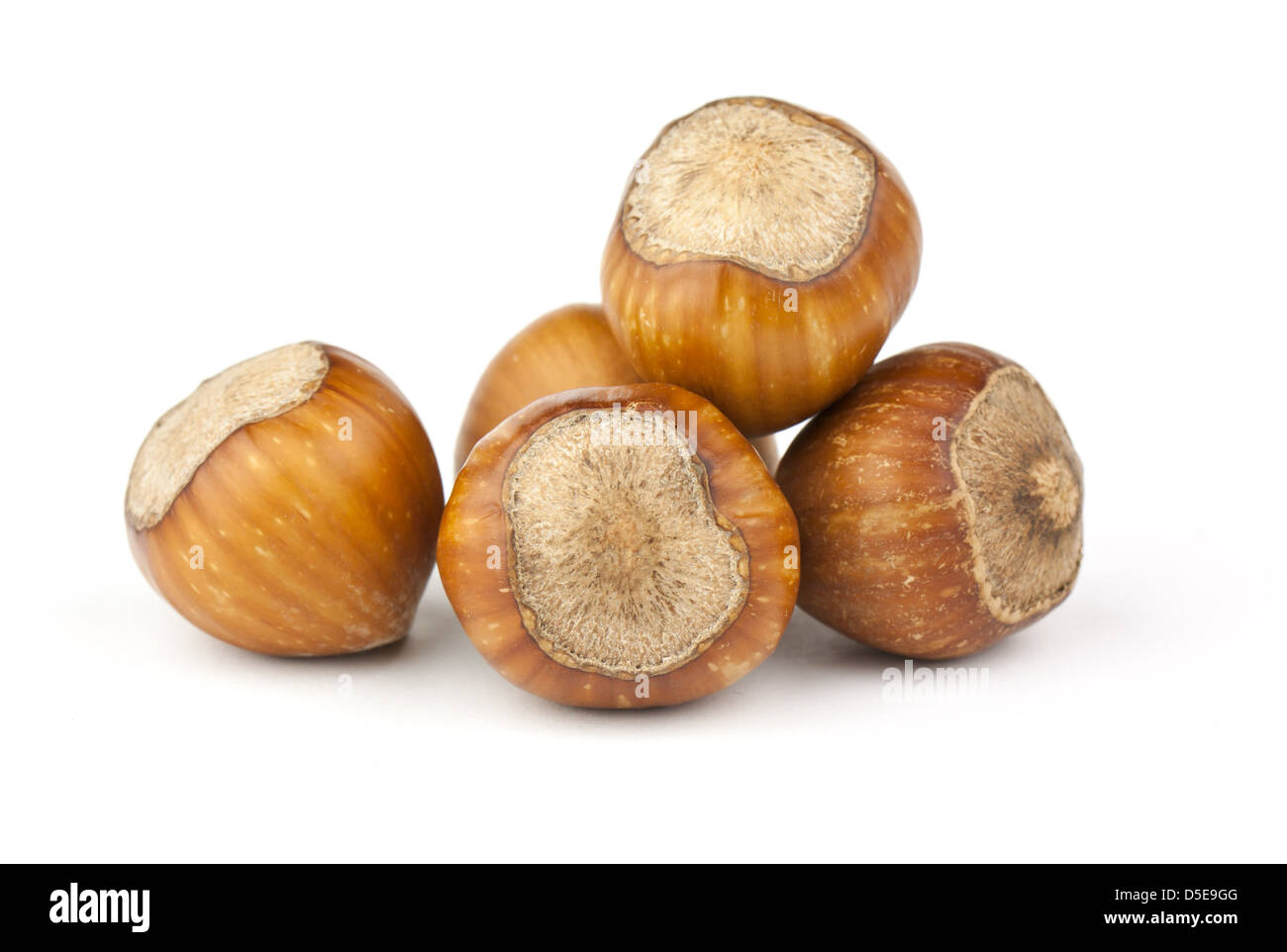 Hazelnuts Composition isolated on white background Stock Photo - Alamy