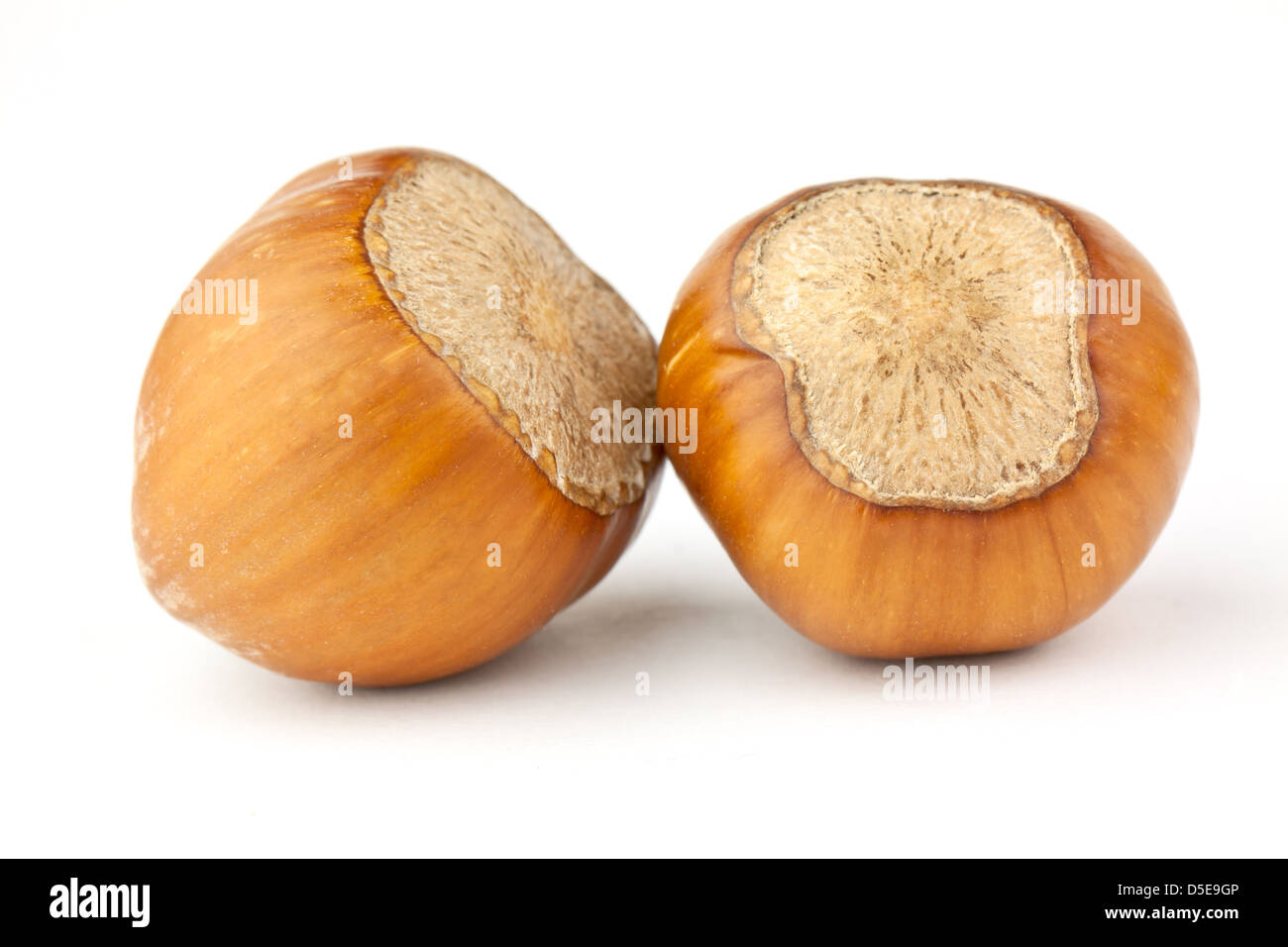 Hazelnuts Composition isolated on white background Stock Photo - Alamy