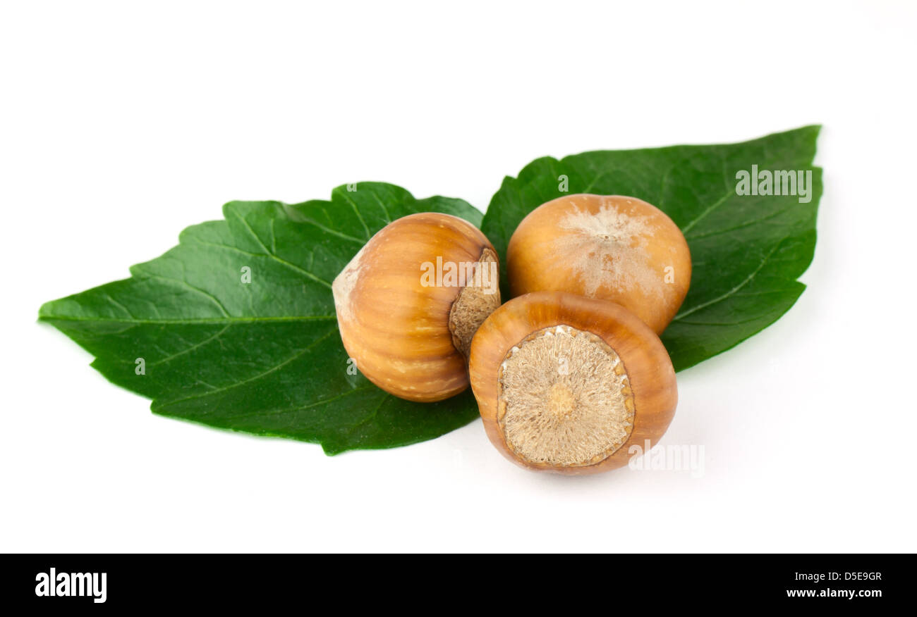 Hazelnuts Composition isolated on white background Stock Photo - Alamy
