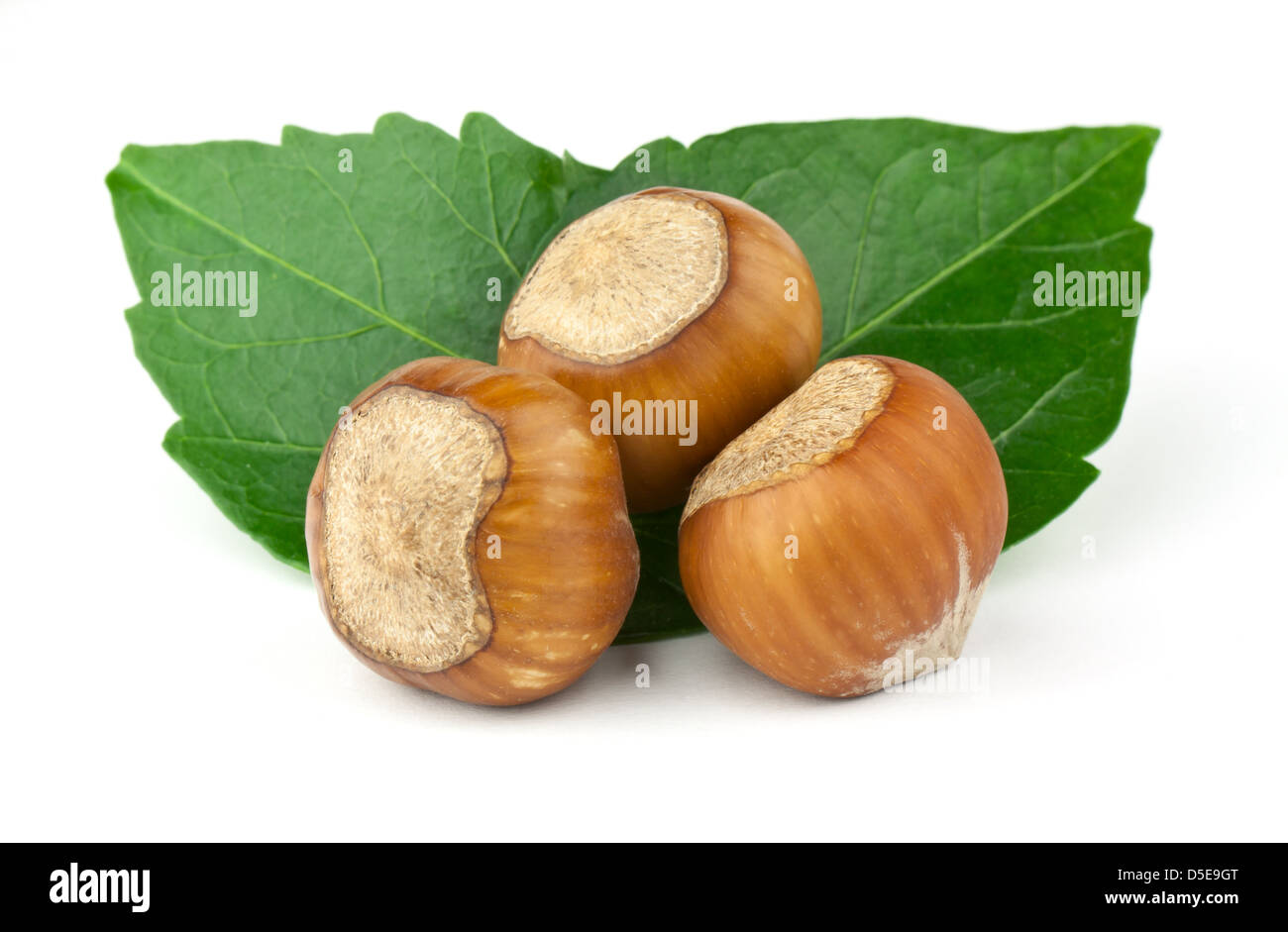 Hazelnuts Composition isolated on white background Stock Photo - Alamy