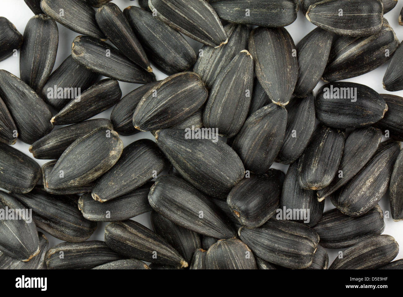 Sunflowers seeds background Stock Photo - Alamy