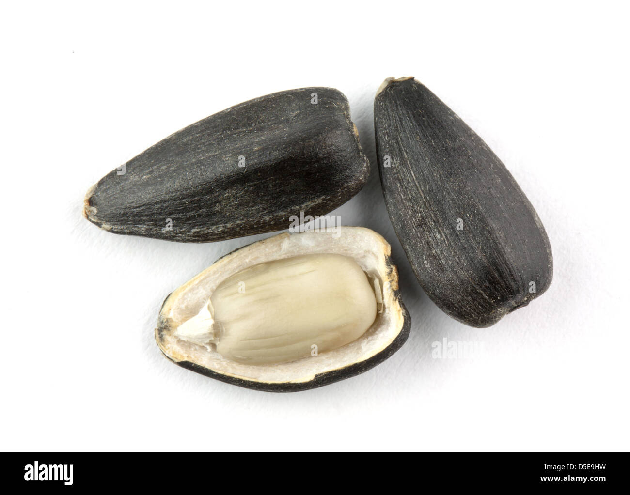 Open sunflower seed on white background Stock Photo - Alamy