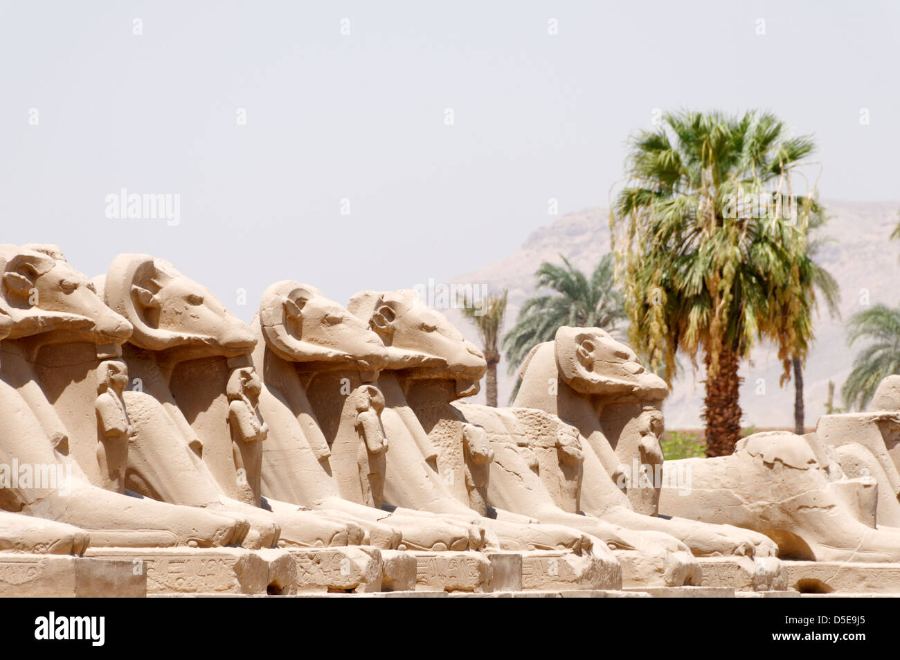 Seated ram-headed Sphinxes that form an avenue and lead up to the first ...