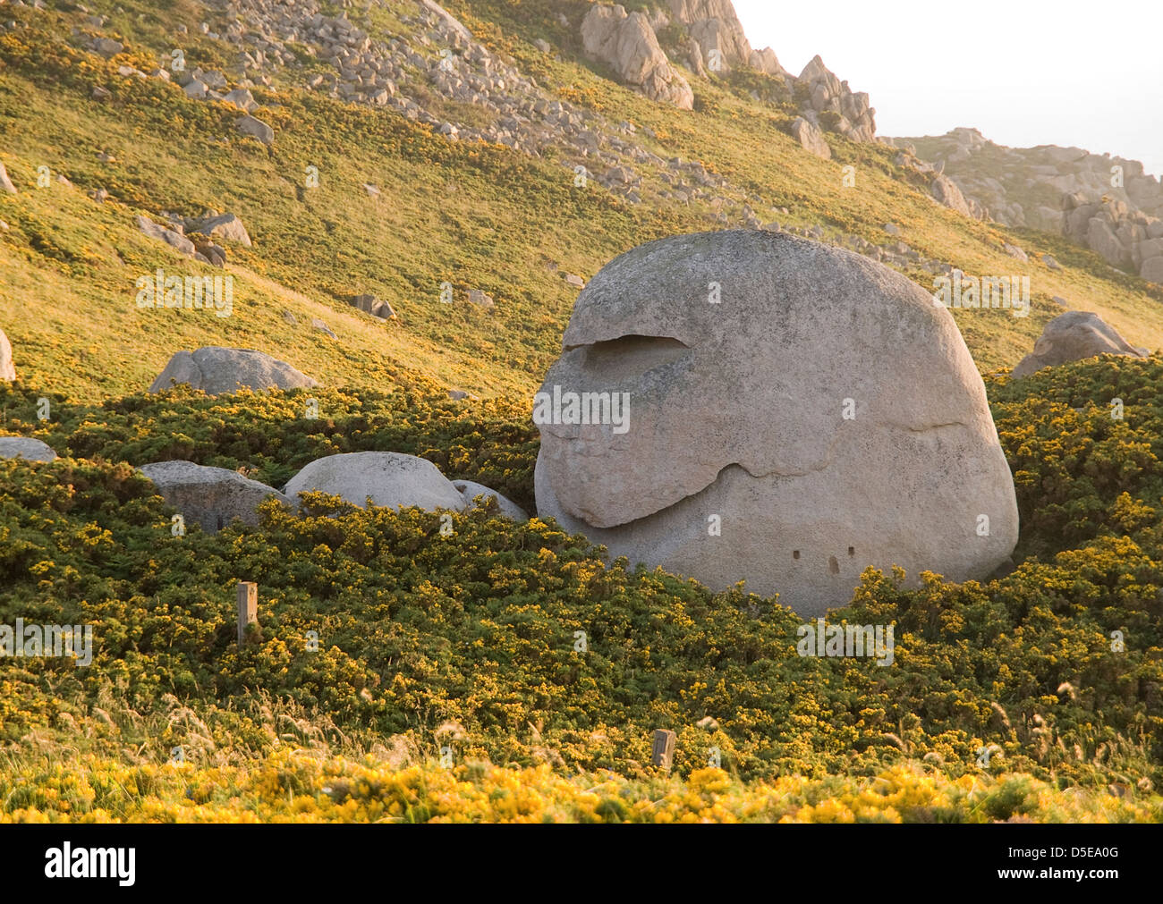 A rock-shaped head and smiling face located on a hill on a sunny day ...
