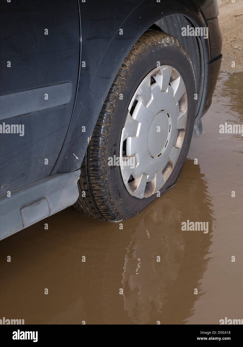 Car wheel in a puddle. The wheel is dirty from mud Stock Photo - Alamy