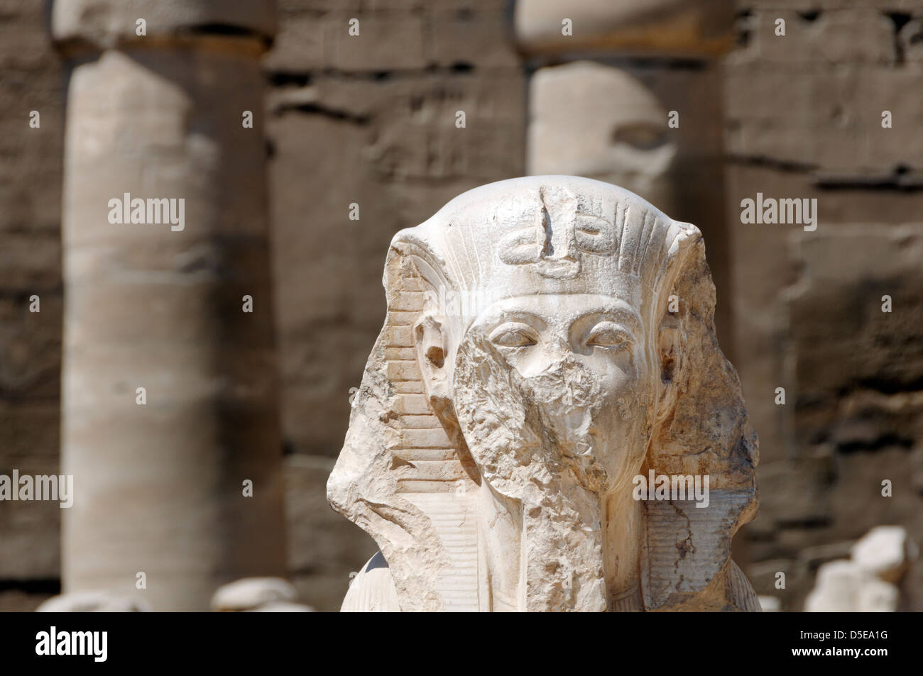 Egyptian Pharaoh Body