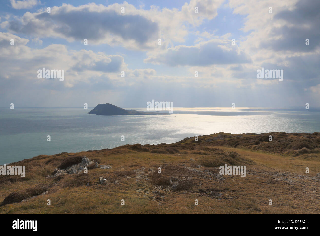 Enlli island hi-res stock photography and images - Alamy