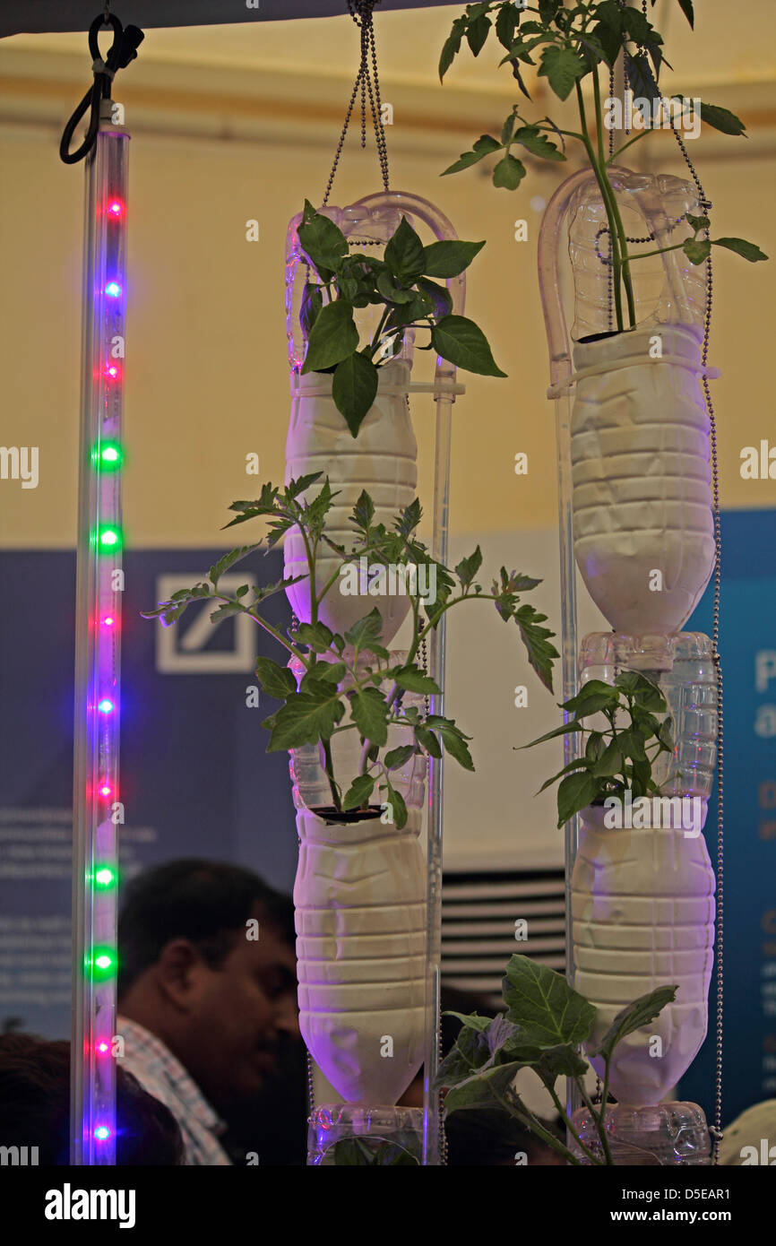 LED-based Cultivation Technology Stock Photo - Alamy