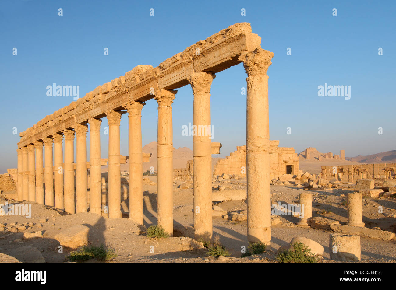 Sunrise over the ruins of the ancient city of Palmyra, Syria Stock ...