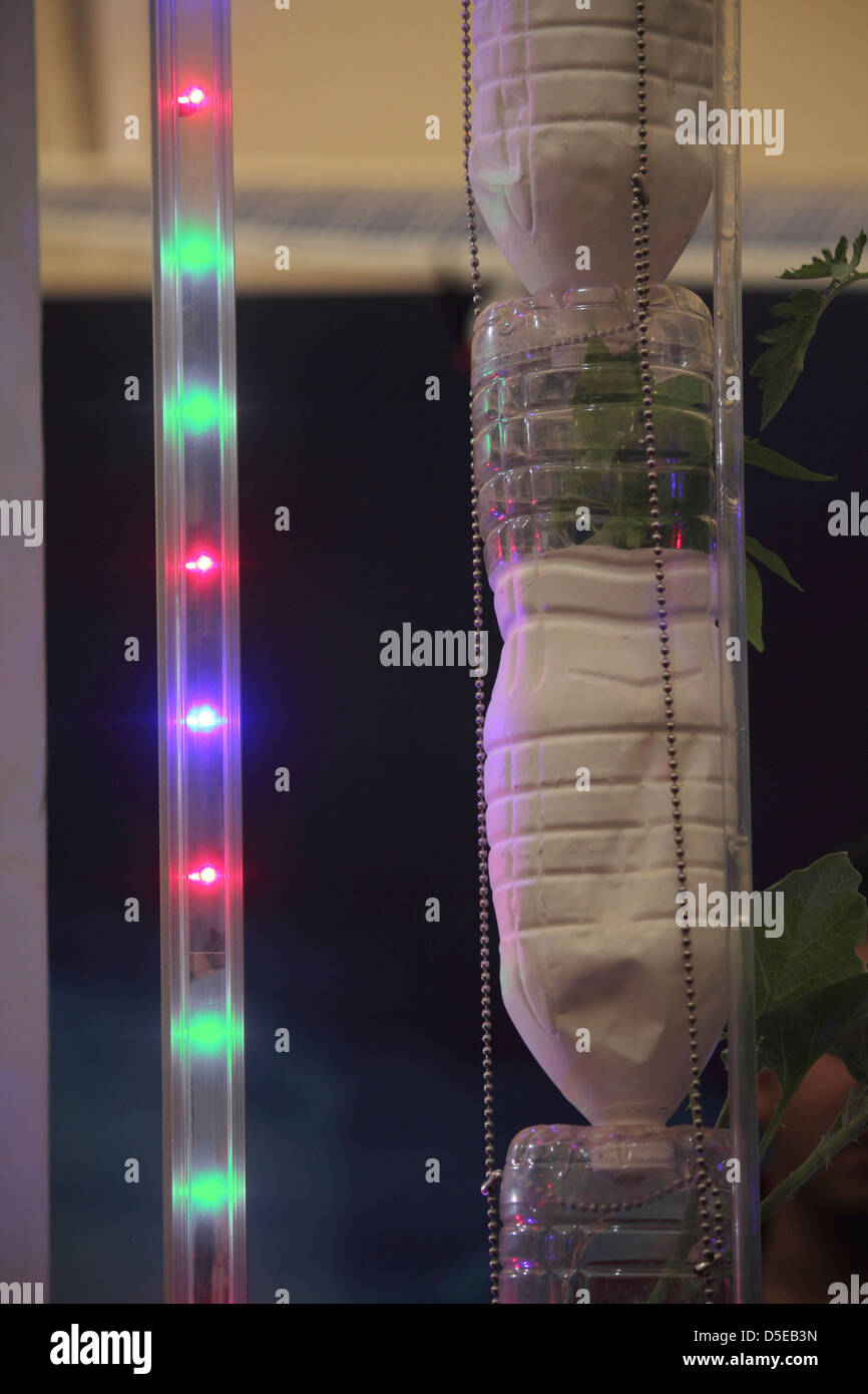 LED-based Cultivation Technology Stock Photo - Alamy