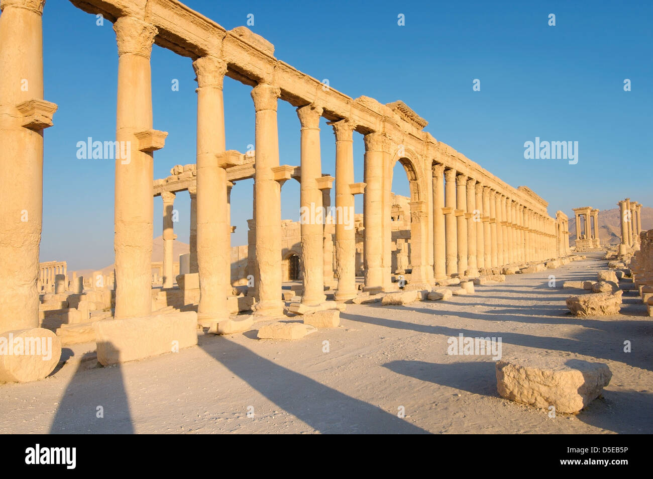 Sunrise over the ruins of the ancient city of Palmyra, Syria Stock ...