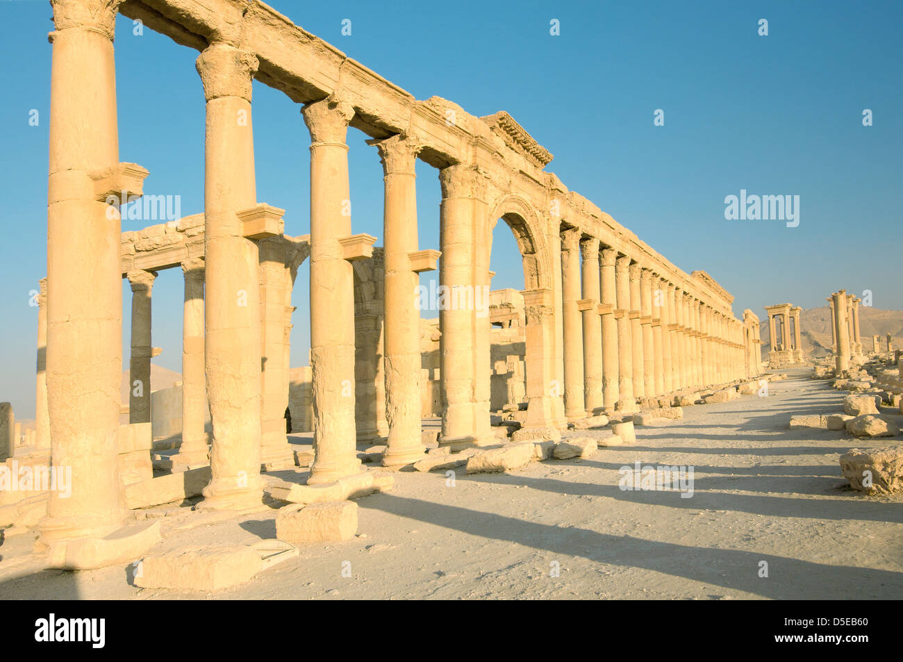 Sunrise over the ruins of the ancient city of Palmyra, Syria Stock ...