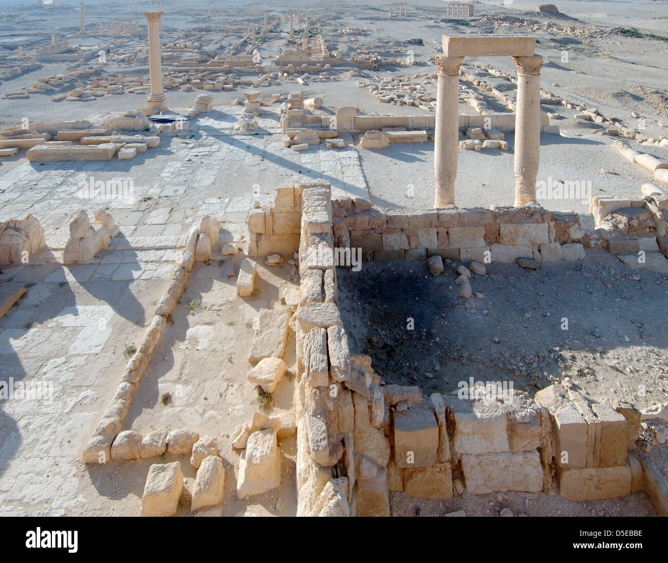 Panorama of the ancient city of Palmyra, Syria Stock Photo - Alamy