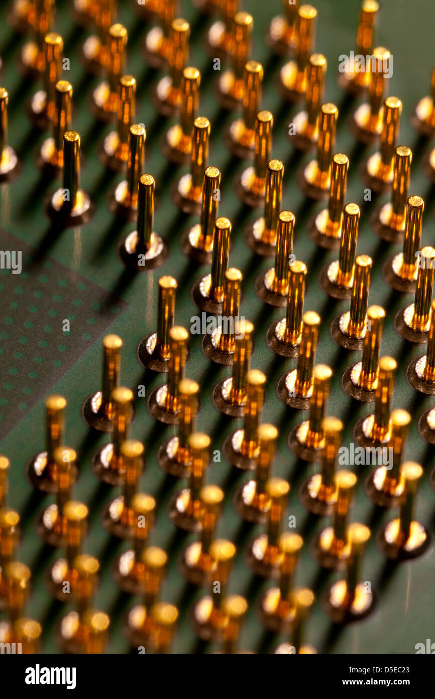 closeup of yellow computer processor pins or computer technology ...