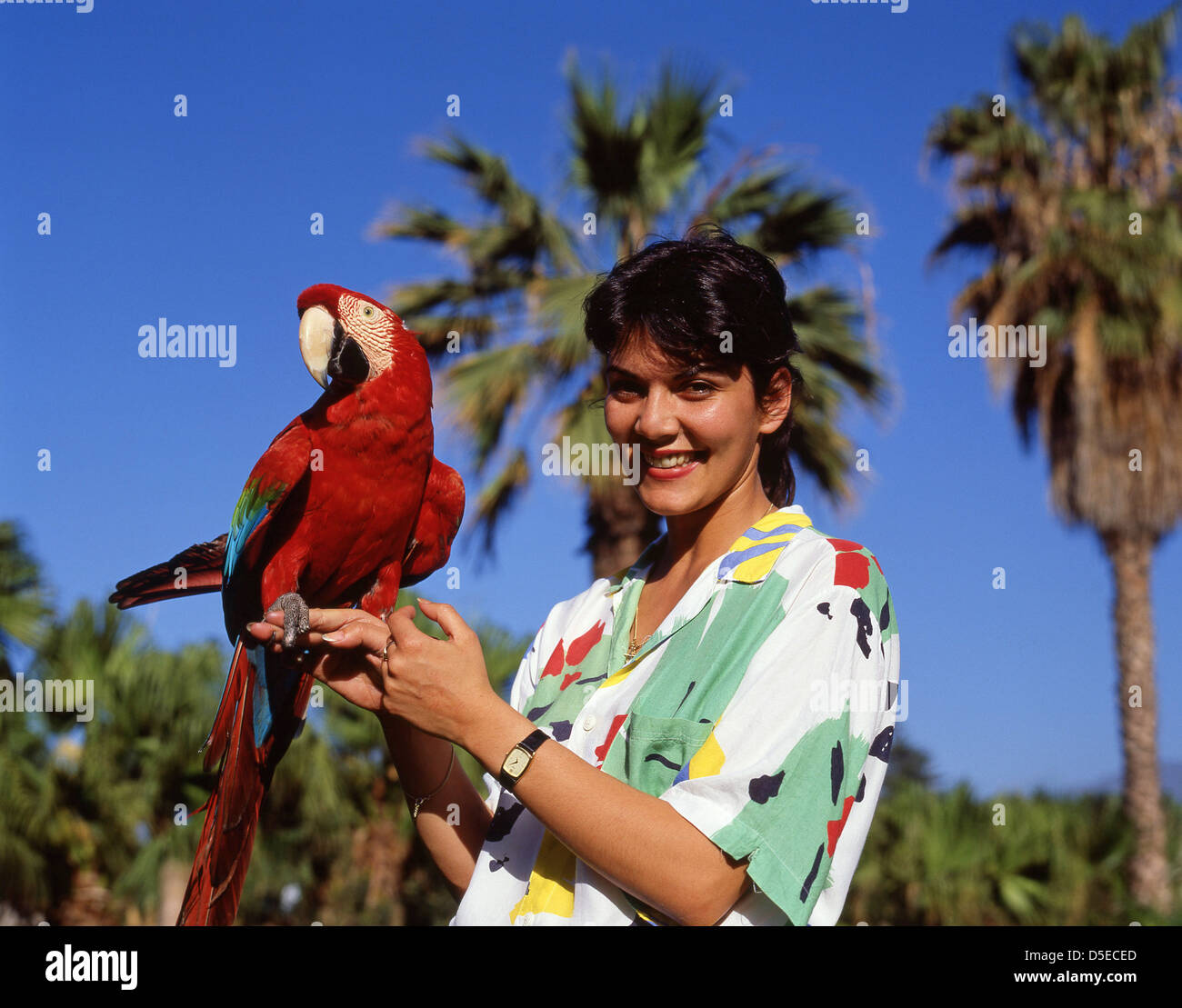 Woman holding Green-winged Macaw at Loro Parque, Puerto de La Cruz ...