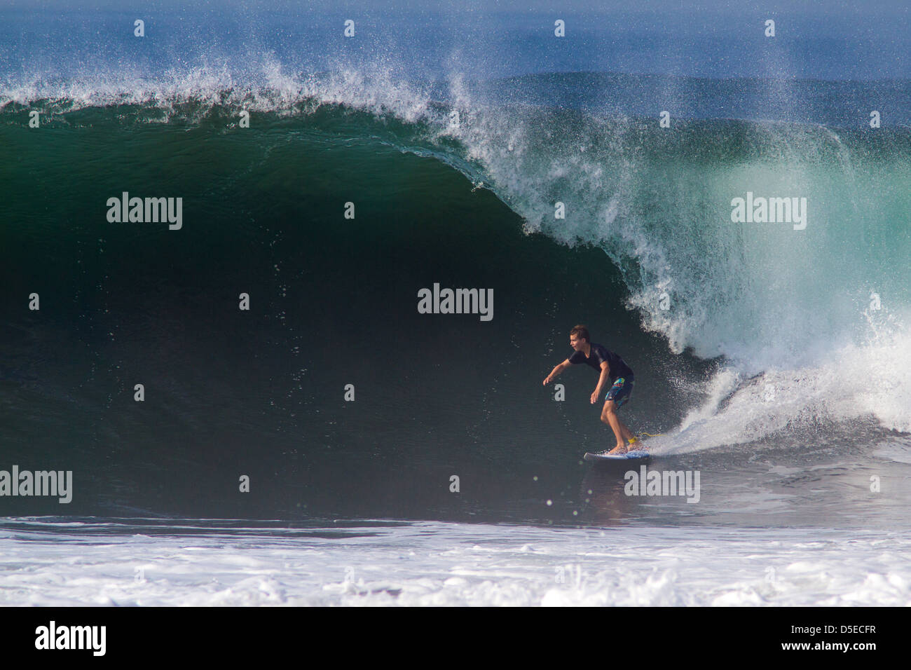 surfer ride a big wave Stock Photo - Alamy