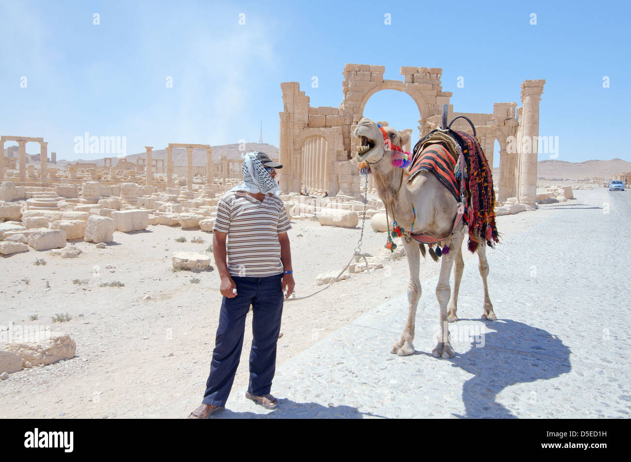 Syrian man with a camel near the Monumental Arch, Arch of Triumph, or ...