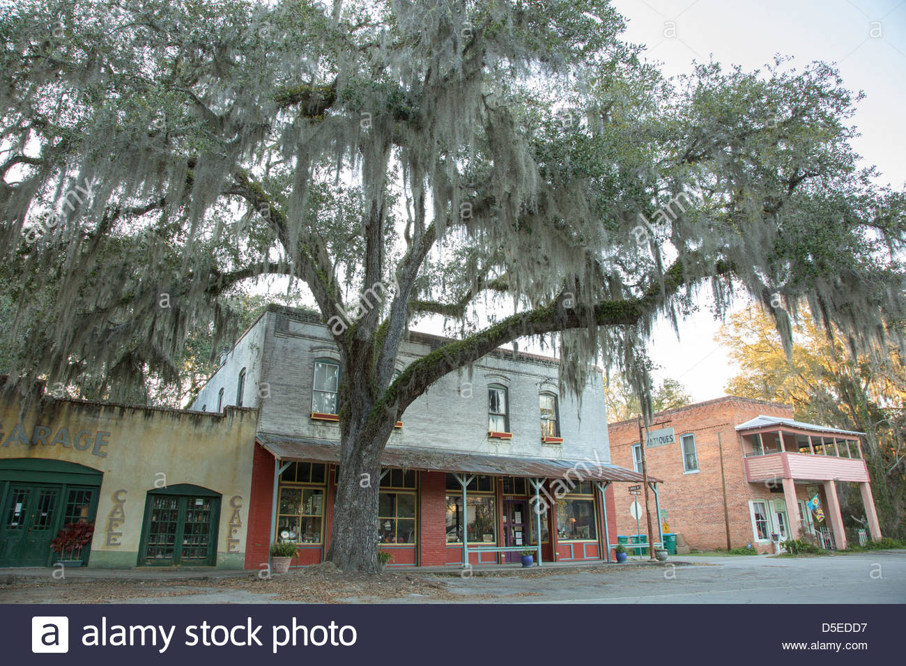 Micanopy High Resolution Stock Photography and Images - Alamy