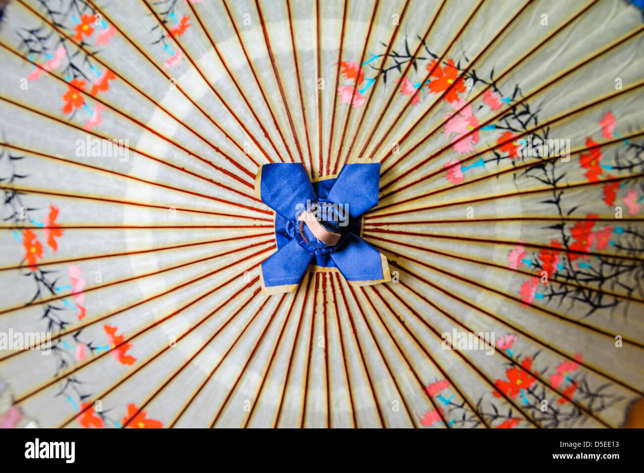 Wagasa, the traditional Japanese umbrella, handicrafted by Mr. Hiroshi ...