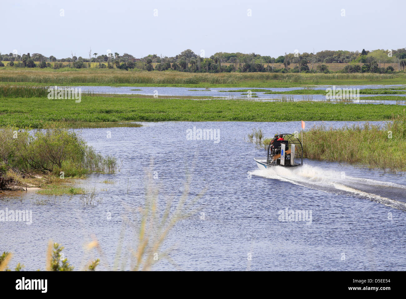 an airboat or fanboat speeding across the Florida everglades in Florida ...