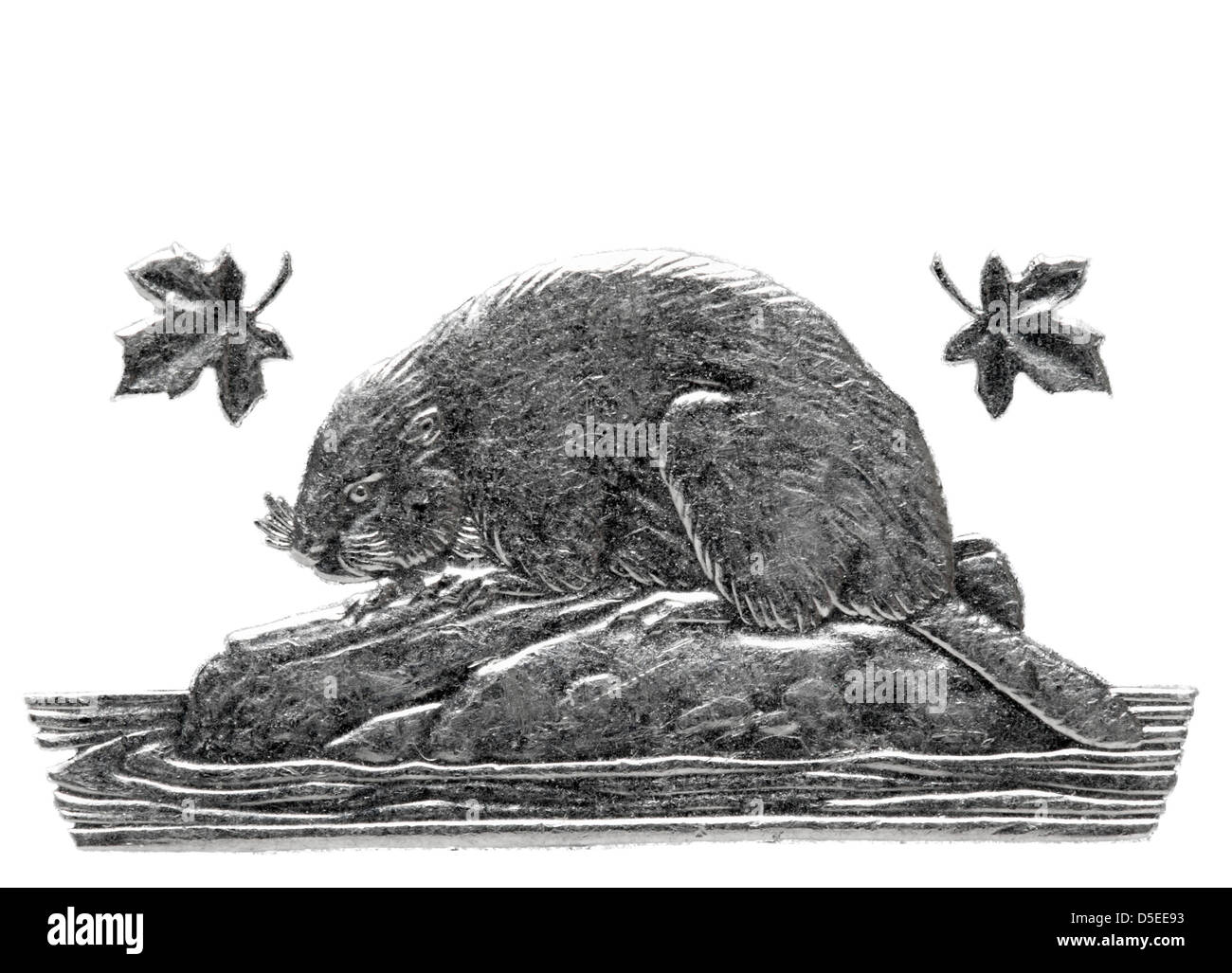 Beaver canadian 5 cent coins hi-res stock photography and images - Alamy