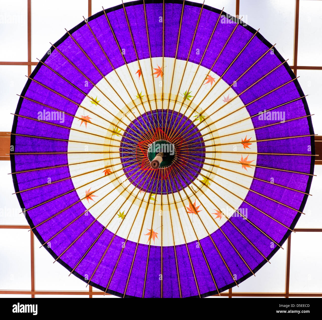 Wagasa, the traditional Japanese umbrella, handicrafted by Mr. Hiroshi ...