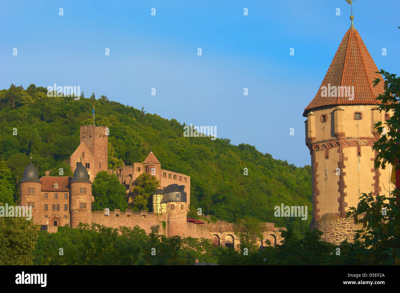 Wertheim, Baden-Wuerttemberg, Wertheim castle, Main-Tauber, Romantic ...