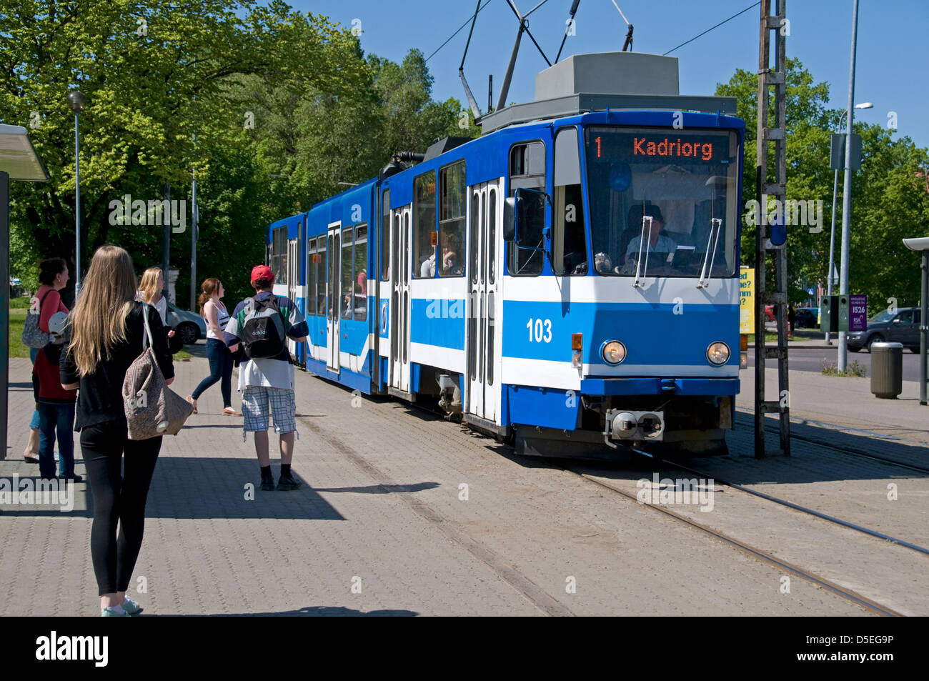A city tram approaches a city tram stop in Tallinn, Estonia, Baltic ...