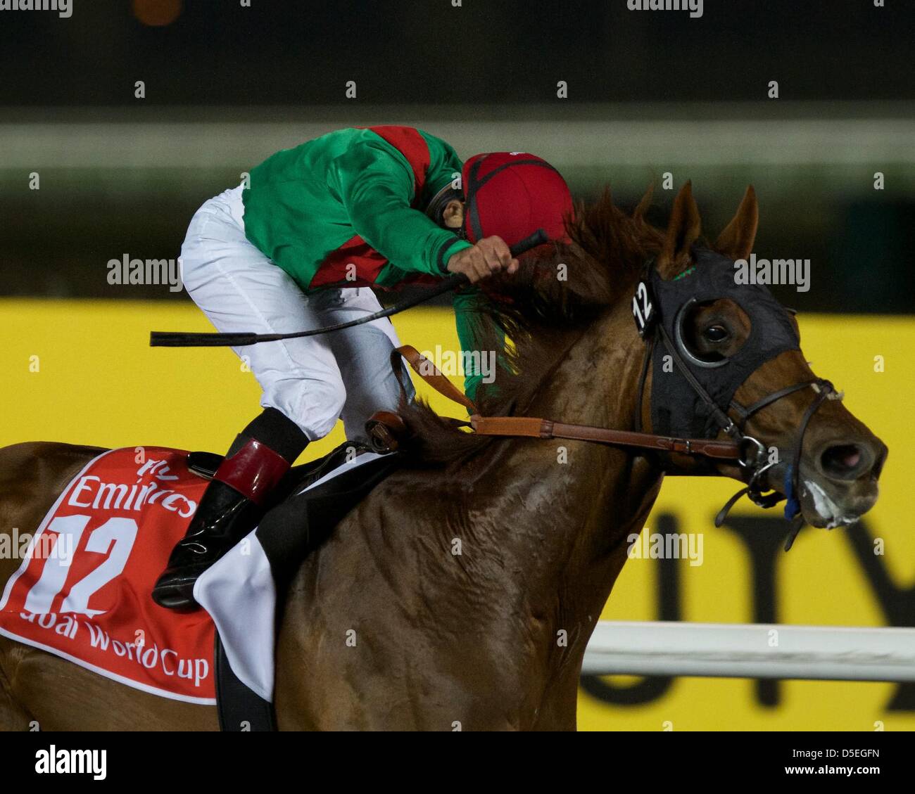 March 31, 2013 - Dubai, United Arab Emirates - Animal Kingdom with JOEL ...