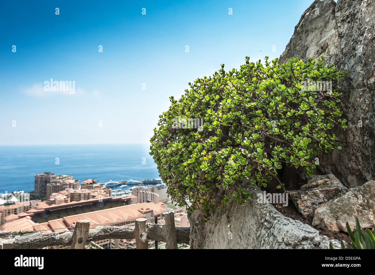 View of Monte Carlo and the Mediterranean Sea Stock Photo - Alamy