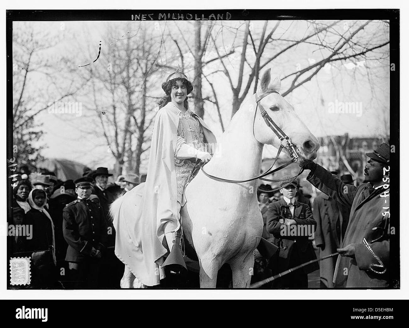 Politics voting horse hi-res stock photography and images - Alamy