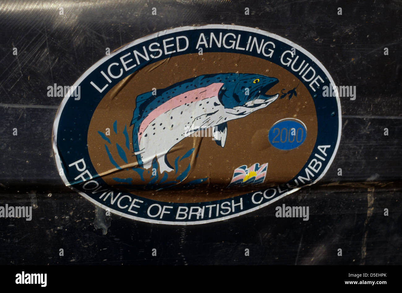 Sticker on the boat of a licensed fishing guide on the Babine River ...
